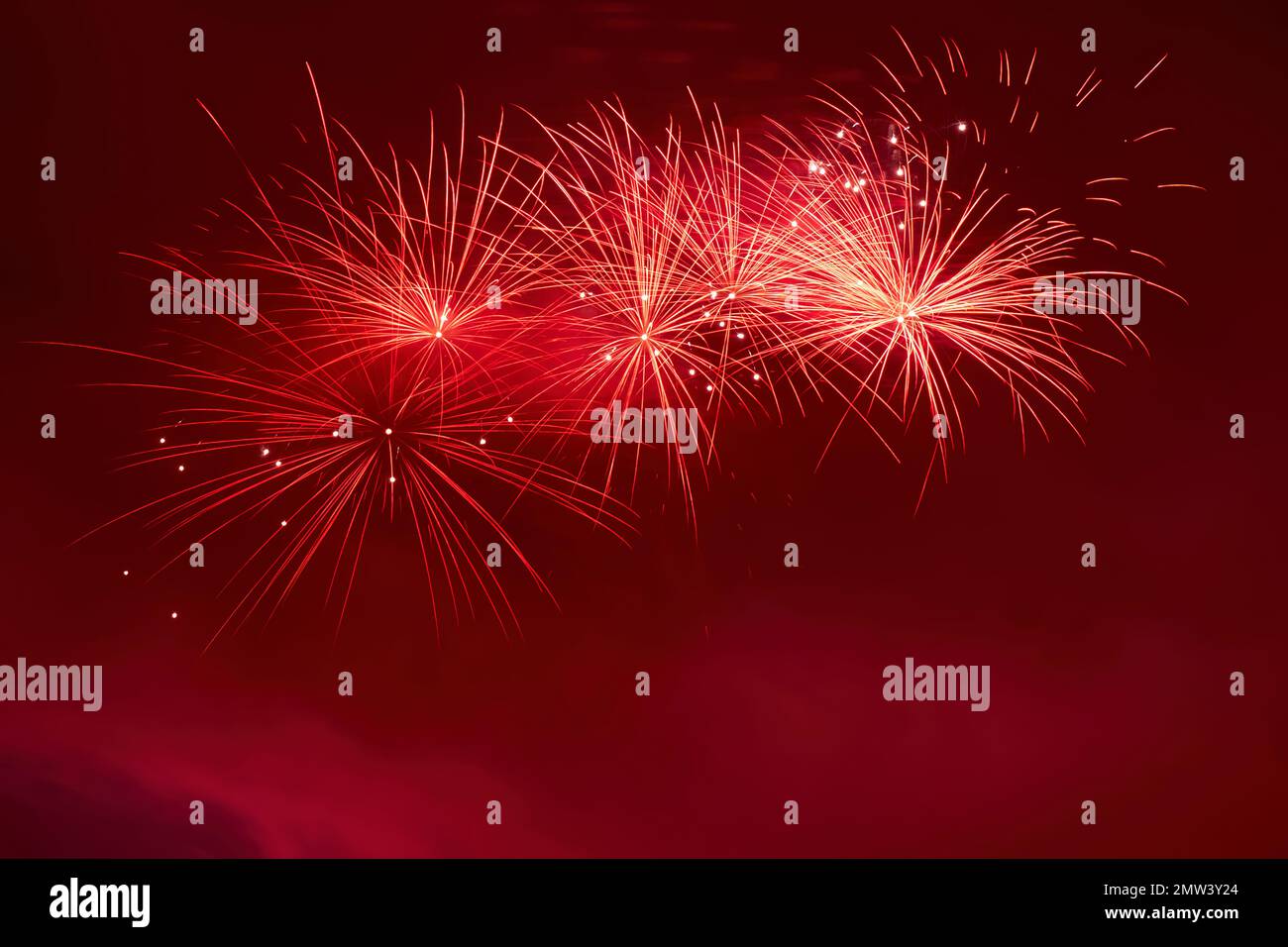 A closeup shot of fireworks illuminating the sky with a bright berry ...