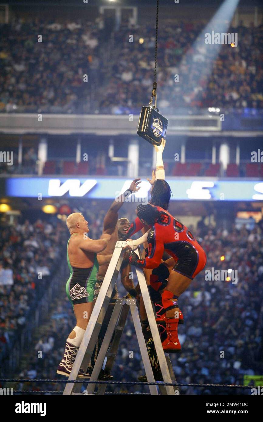 Wrestlemania 25 Arena