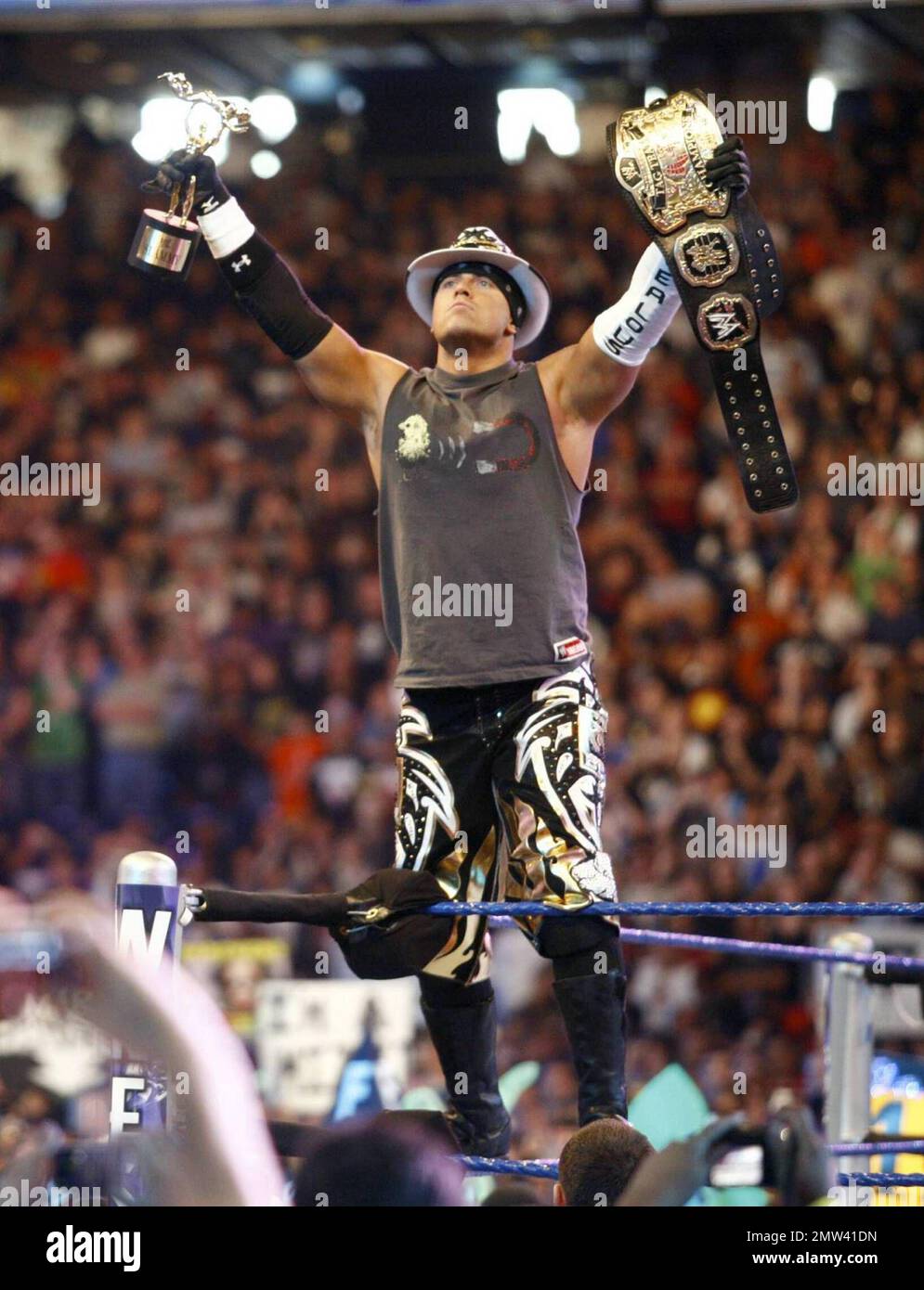 Wrestlemania 25 at Reliant Stadium in Houston, TX. 4/5/09 Stock Photo ...