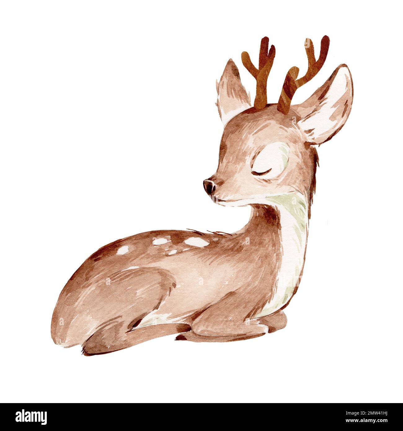 Cute Watercolor Illustration of the Baby Deer over white. Baby Fawn ...