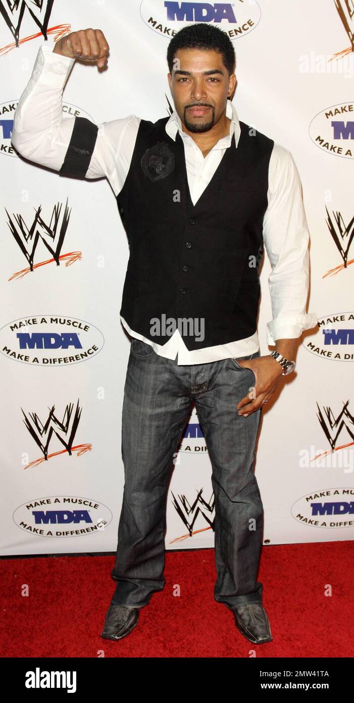 WWE Superstar David Otunga poses on the red carpet at the annual WWE ...