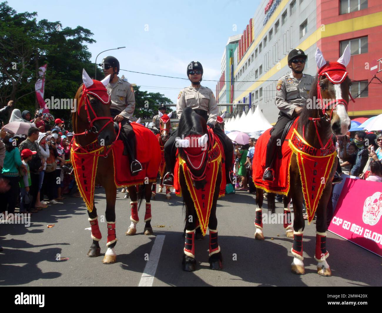 Indonesian animal police parade using horses Stock Photo - Alamy