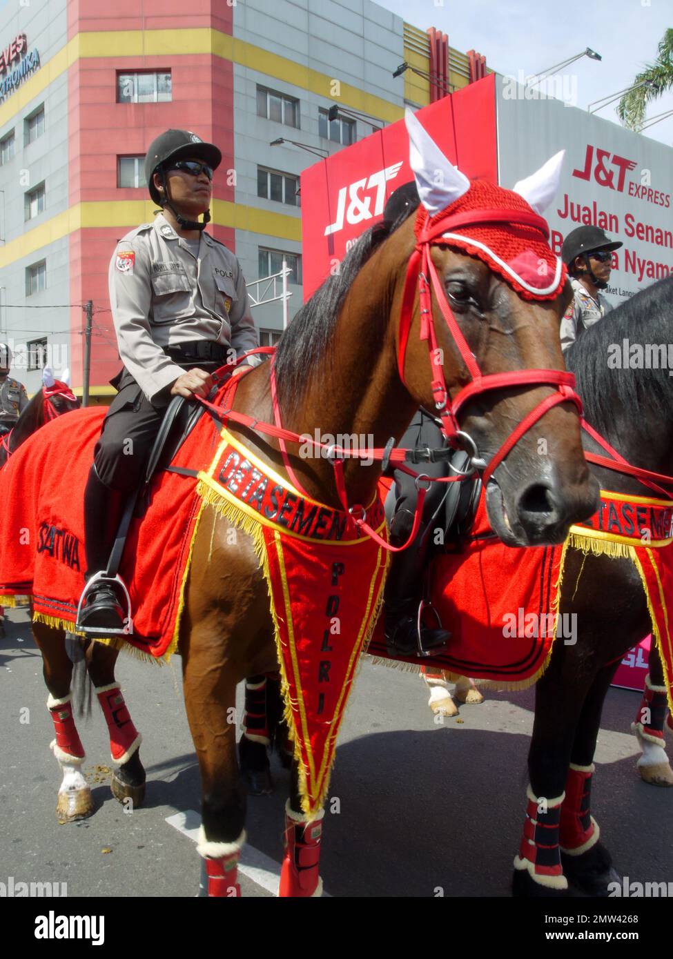 Indonesian animal police parade using horses Stock Photo - Alamy