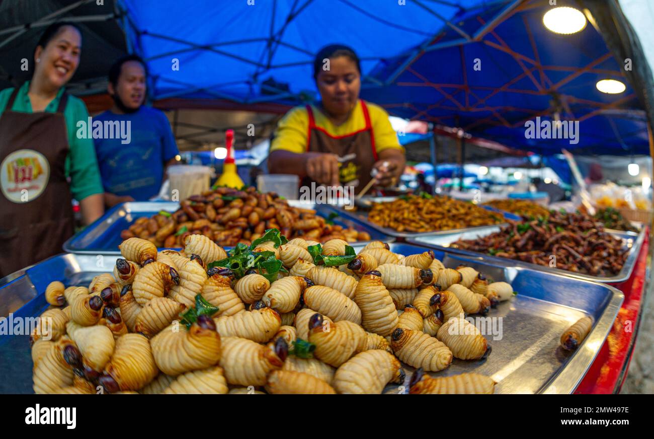January- 20- 2023- Chumphon Thailand, market where insects and insect ...