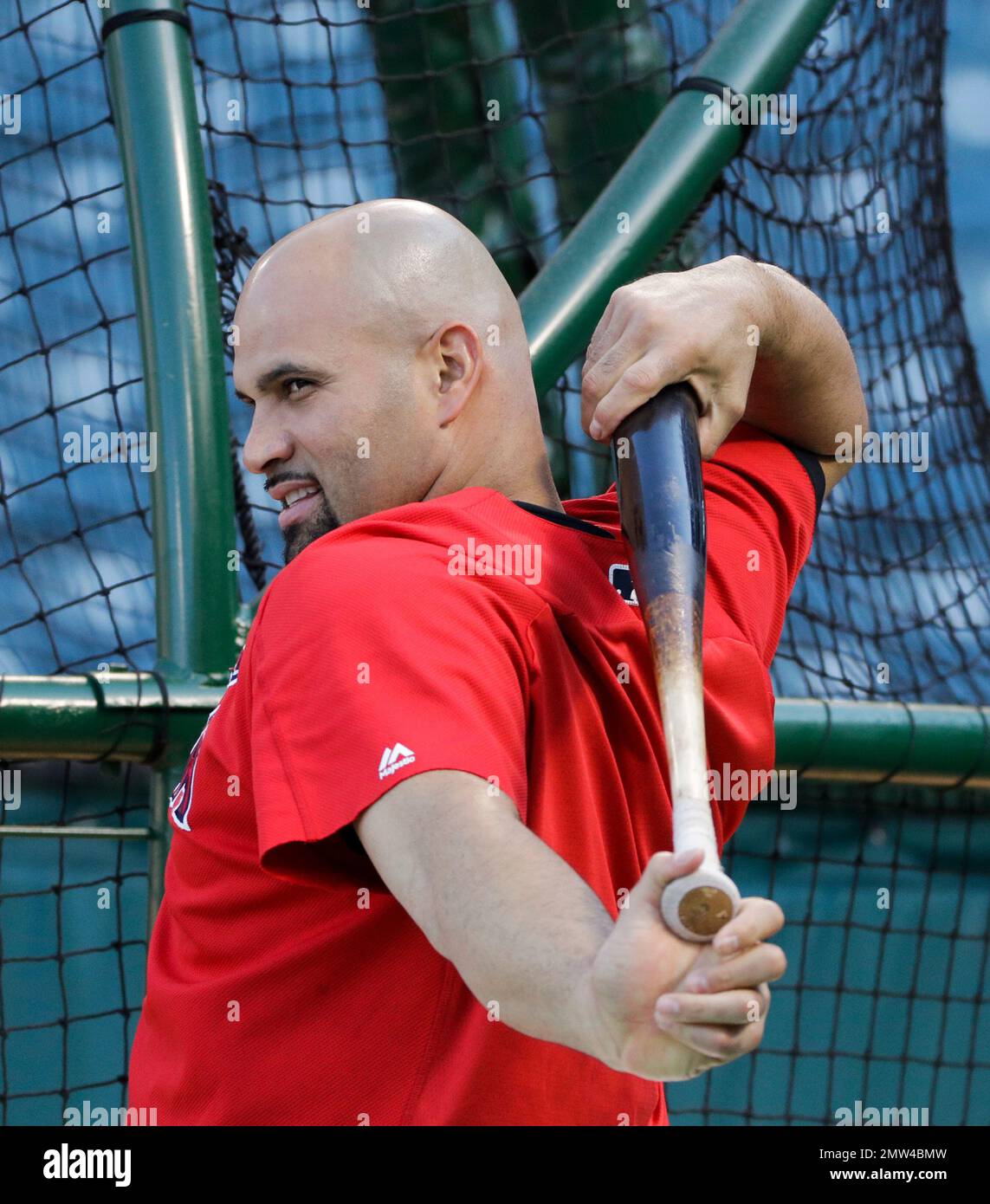 Los Angeles Angels' Albert Pujols prepares for batting practice before ...