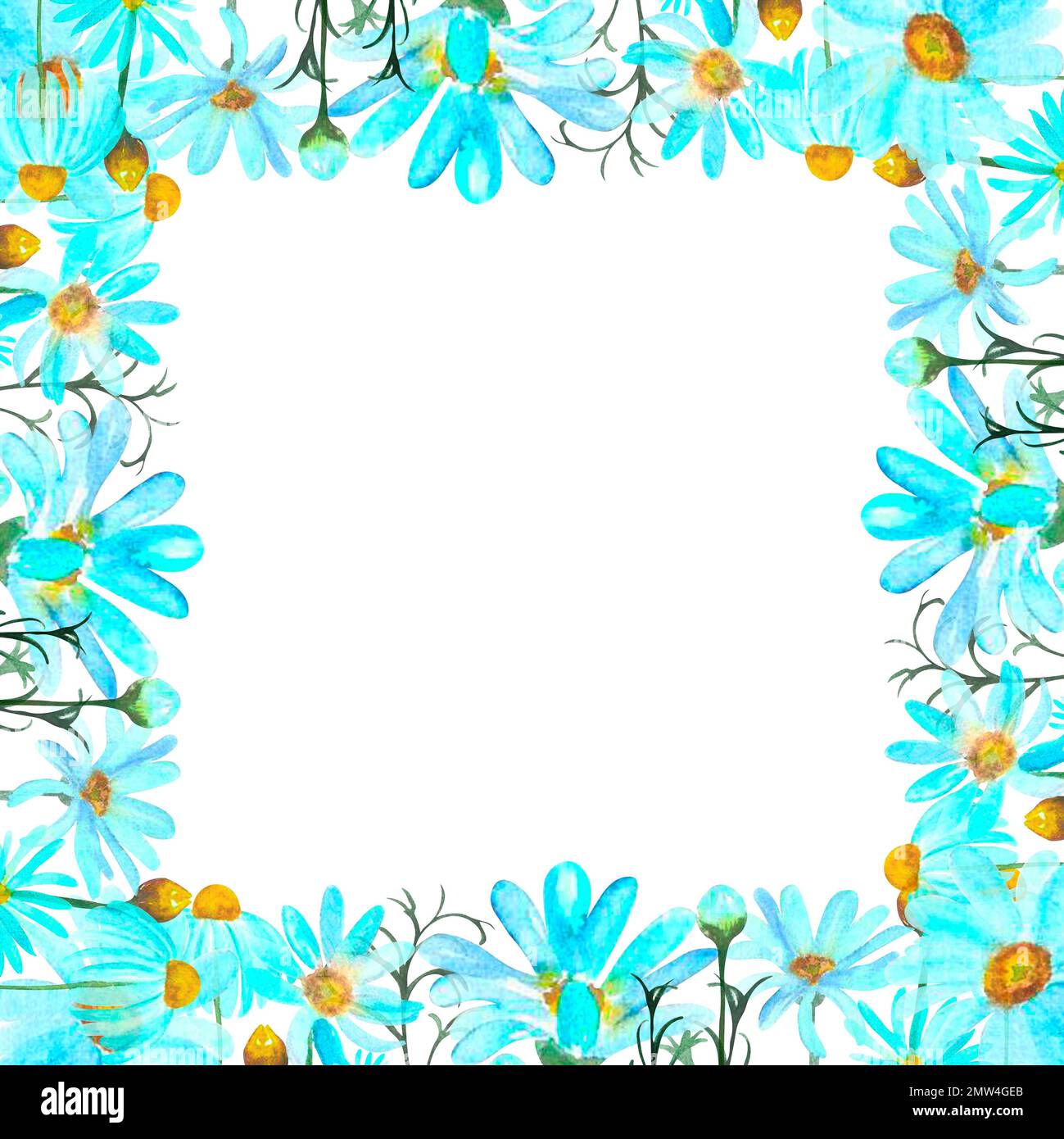 Frame of blue camomile in watercolor on isolated white background, hand ...