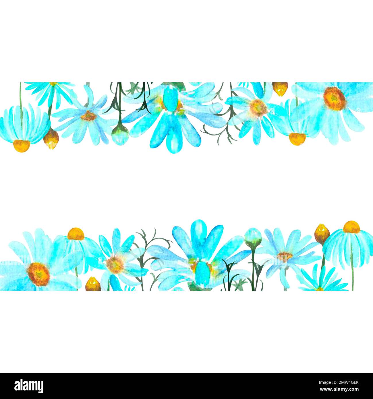 Frame of blue camomile in watercolor on isolated white background, hand ...