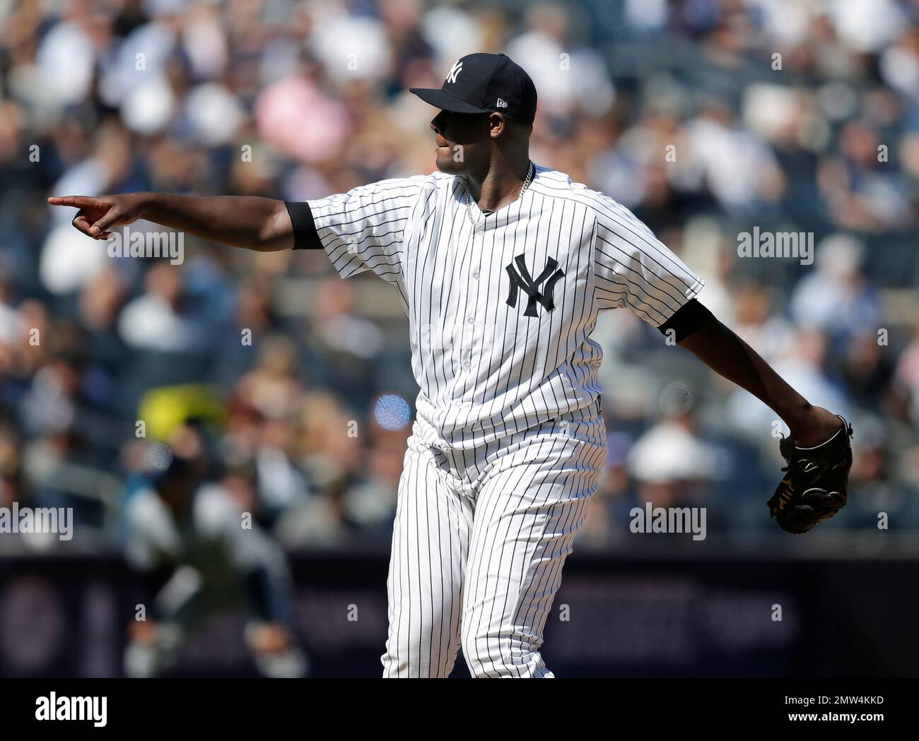 New York Yankees starting pitcher Michael Pineda reacts after throwing ...