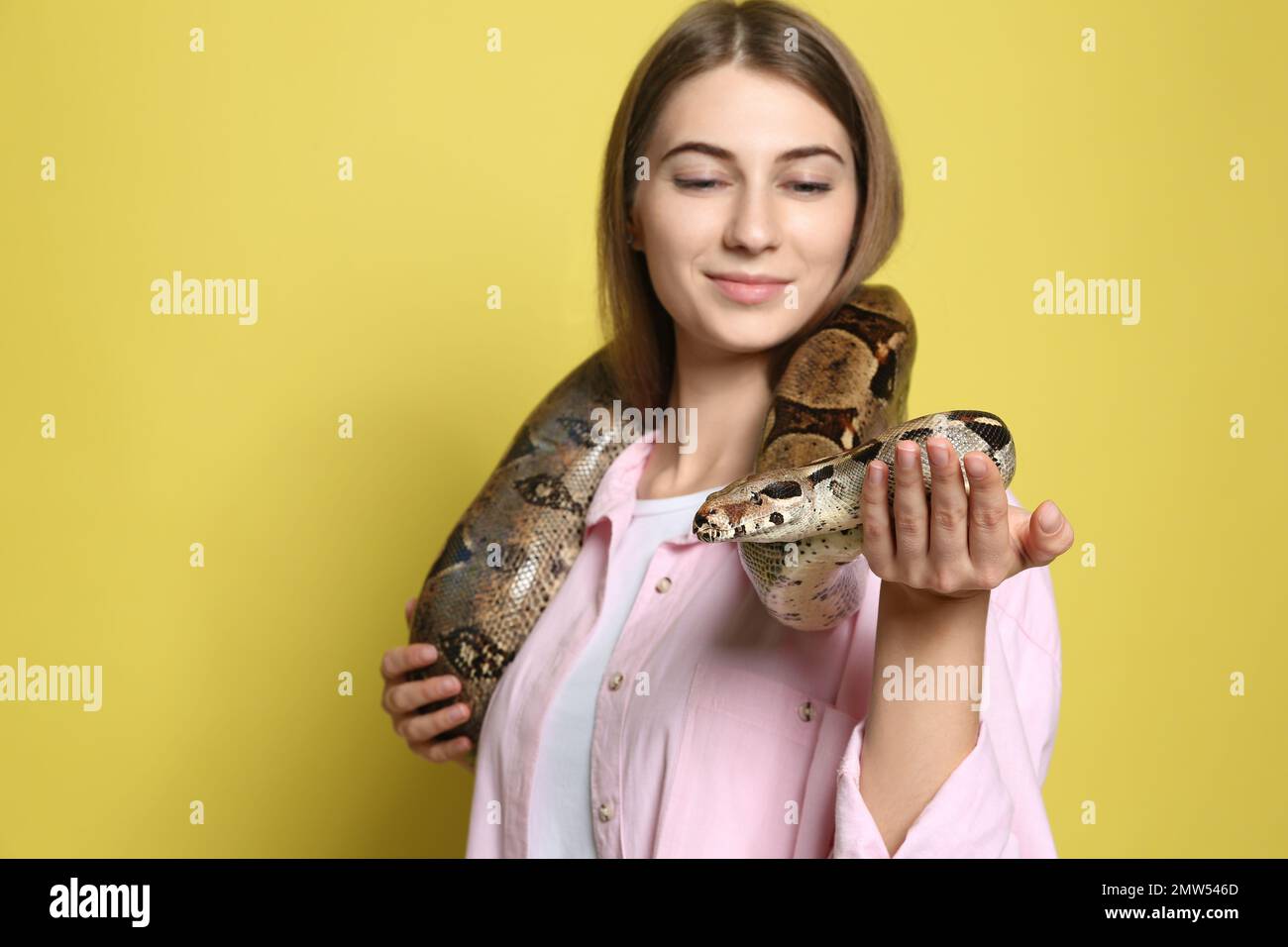 Young woman with boa constrictor on yellow background, focus on hand ...