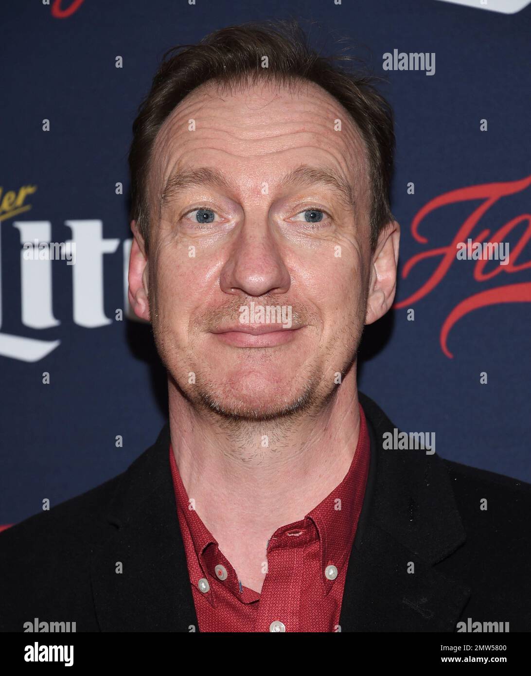 Actor David Thewlis attends FX's 2017 All-Star Upfront event at the SVA ...