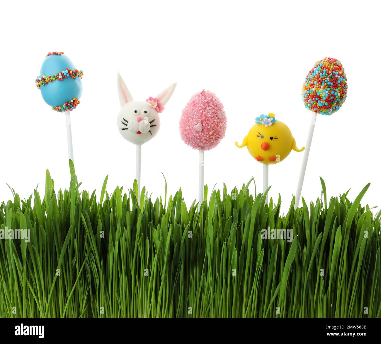 Different delicious cake pops for Easter celebration and grass on white ...