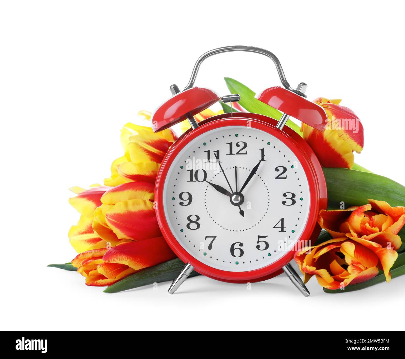 Red alarm clock and spring flowers on white background. Time change ...