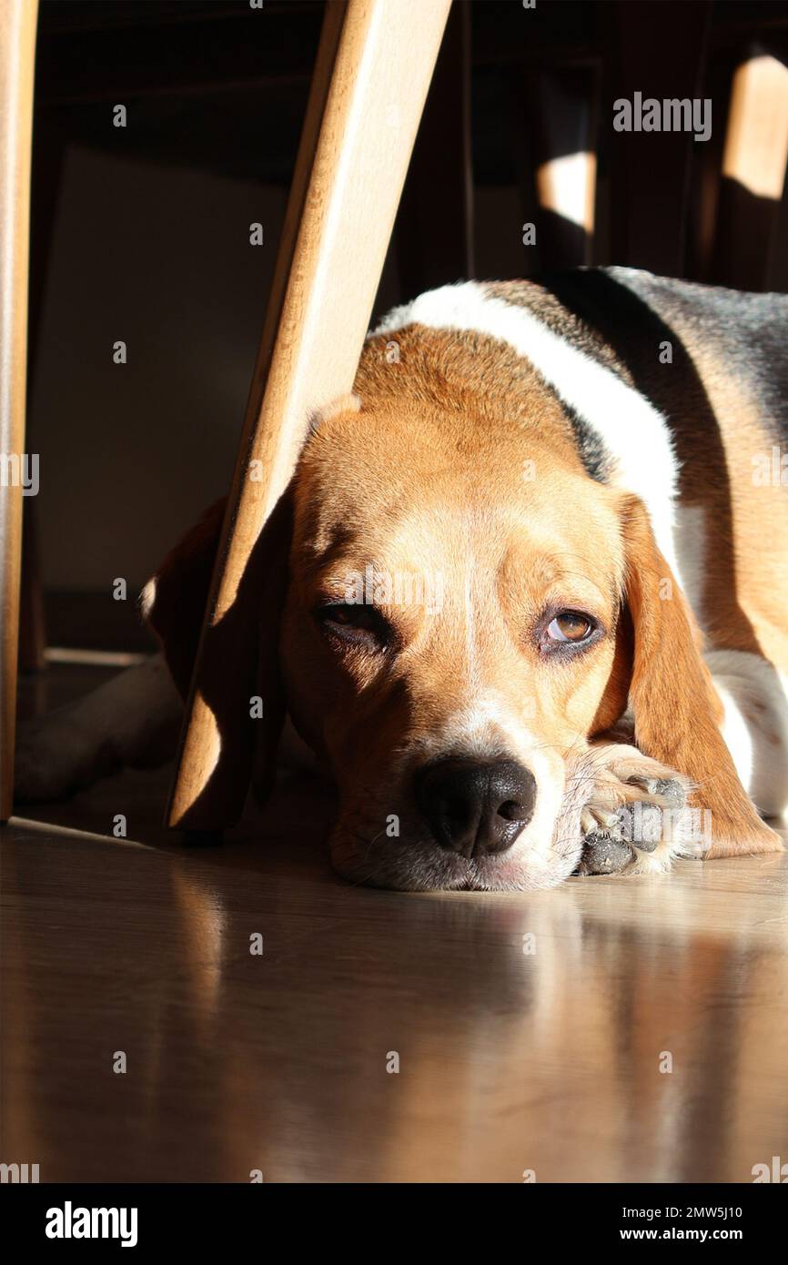 Bored black and white hi-res stock photography and images - Alamy