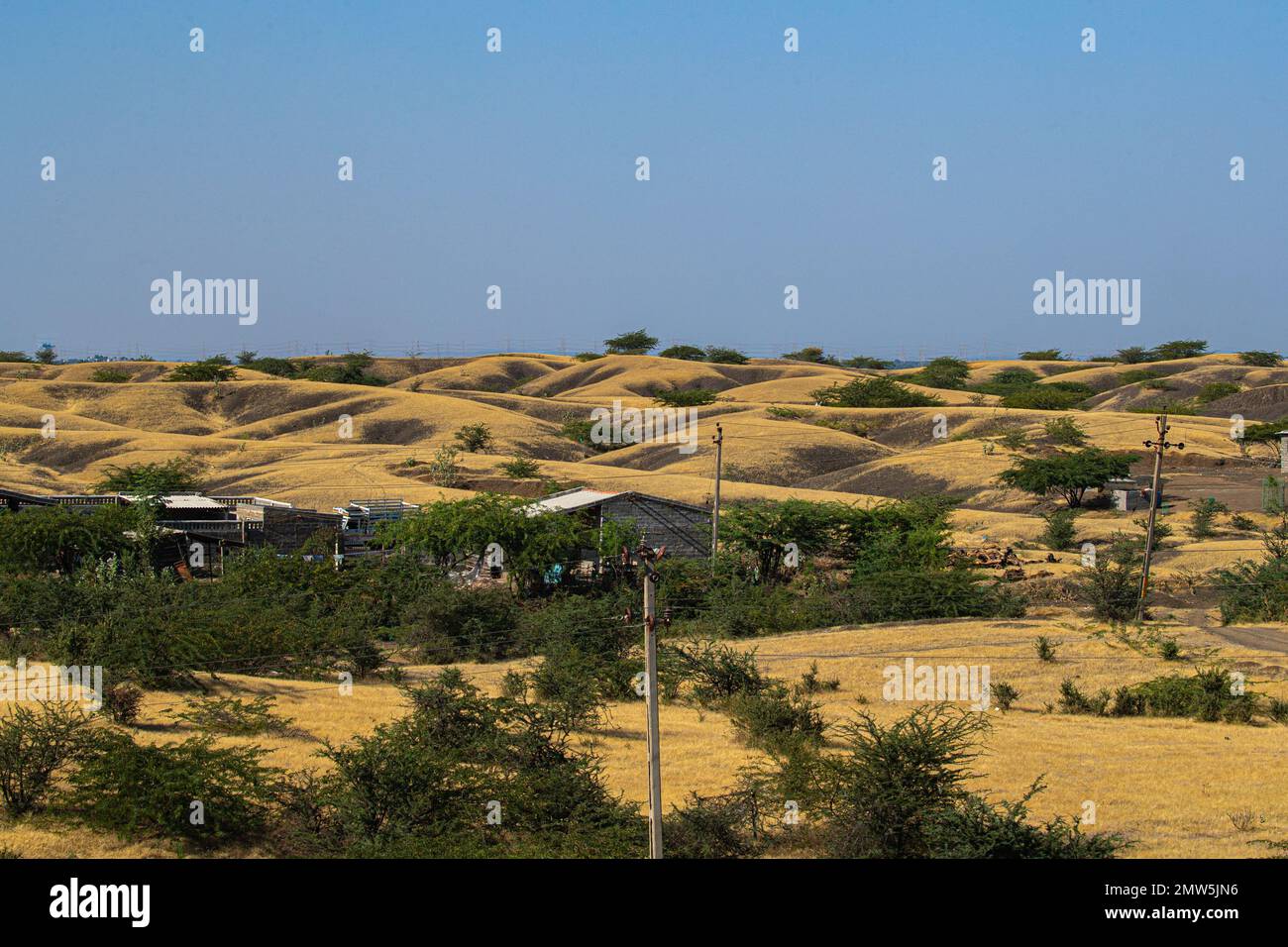 A landscape of a desert land of Rann of Kutch Stock Photo - Alamy