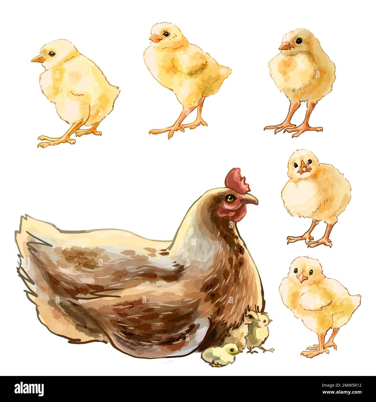 Color illustration Farm with chickens. High quality illustration Stock ...