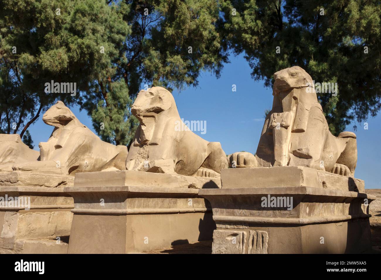 Sphinxes, Karnak Temple, Luxor, Egypt Stock Photo - Alamy