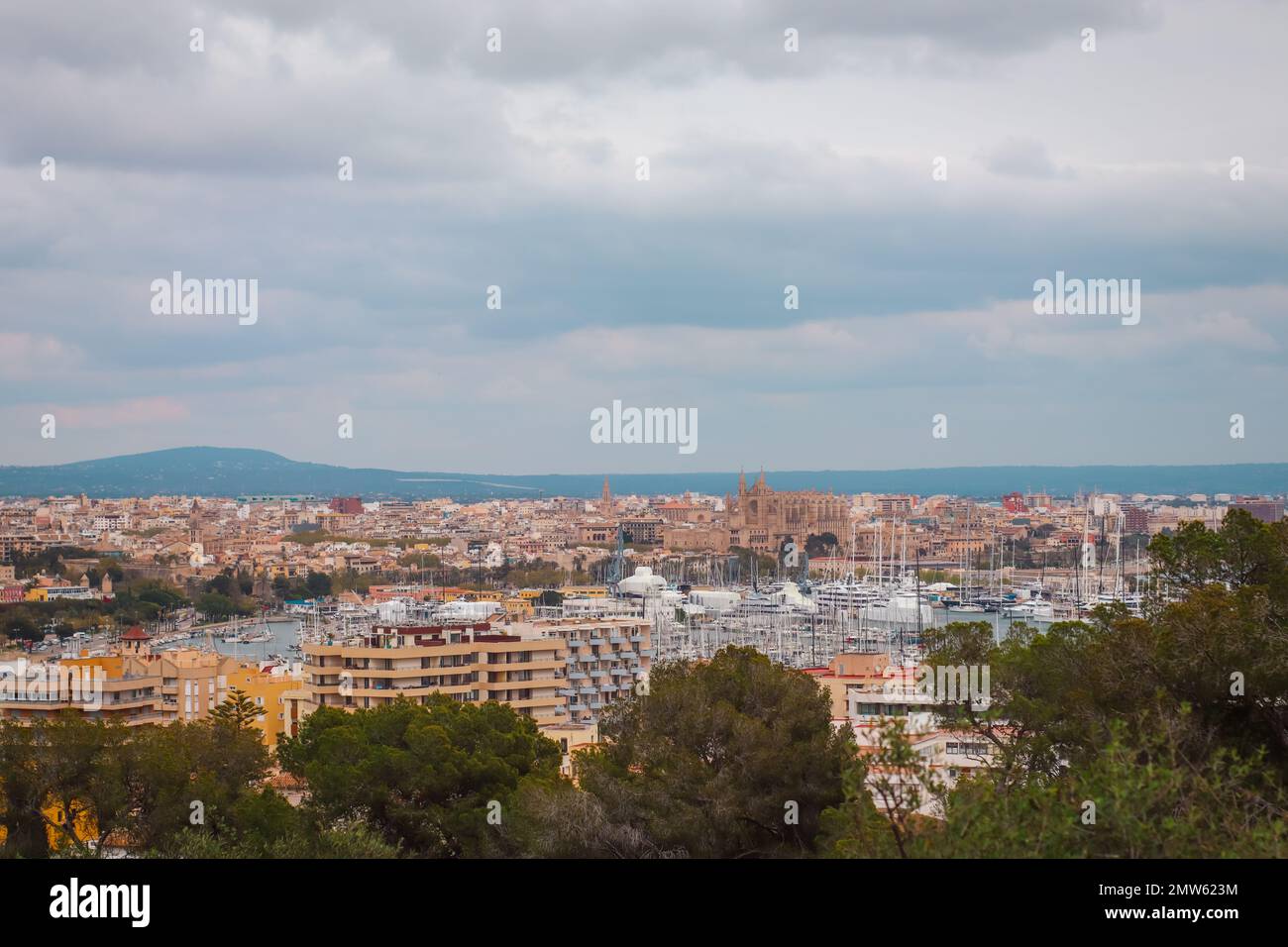 The cityscape of Palma de Mallorca with the port and Santa Maria ...