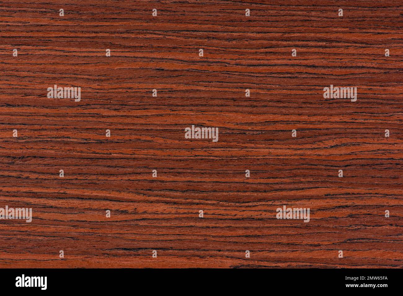 Rosewood texture. Texture of dark mahogany with an intense pattern ...
