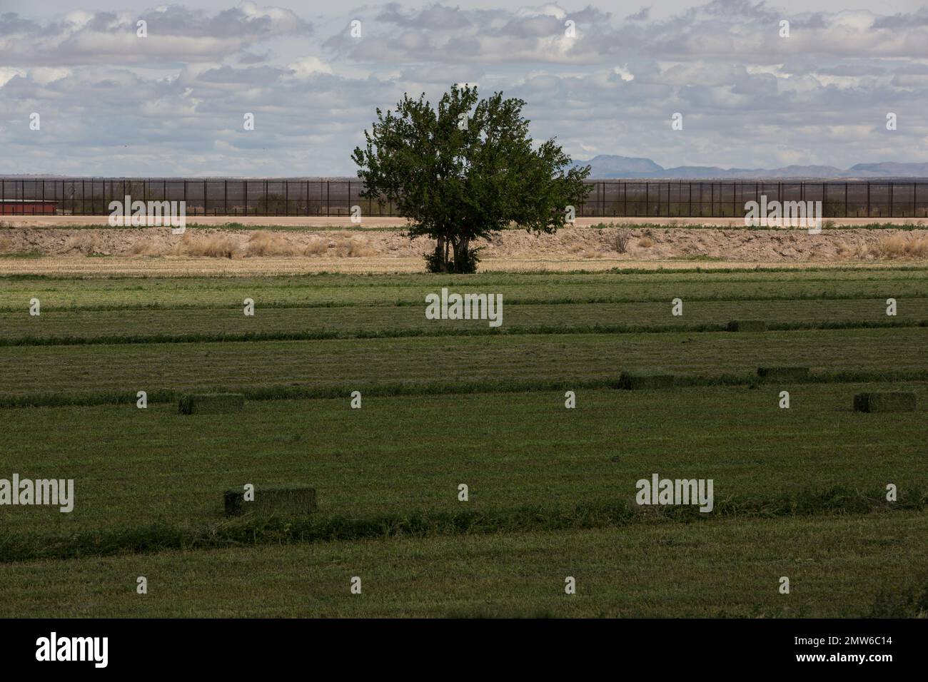 A farm located adjacent to the fence at the US-Mexico border in the ...