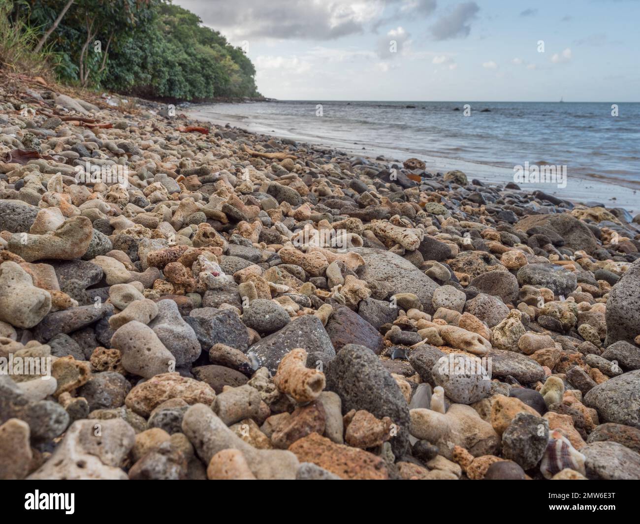a low view close up of coral rubble shingle stone beach sea Caribbean ...