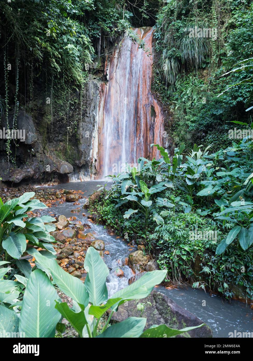a face view of Diamond Botanical Gardens waterfall with red and orange ...