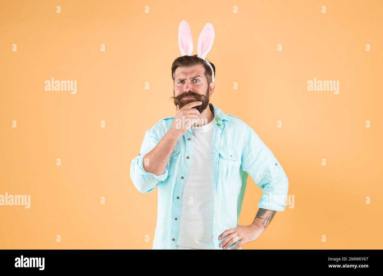 Beard for your face shape. Easter rabbit touch beard yellow background ...