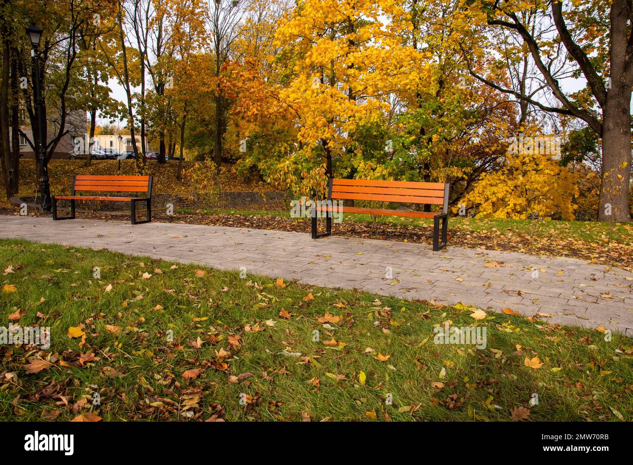 Autumn bench in a park full of falling yellow leaves Stock Photo - Alamy