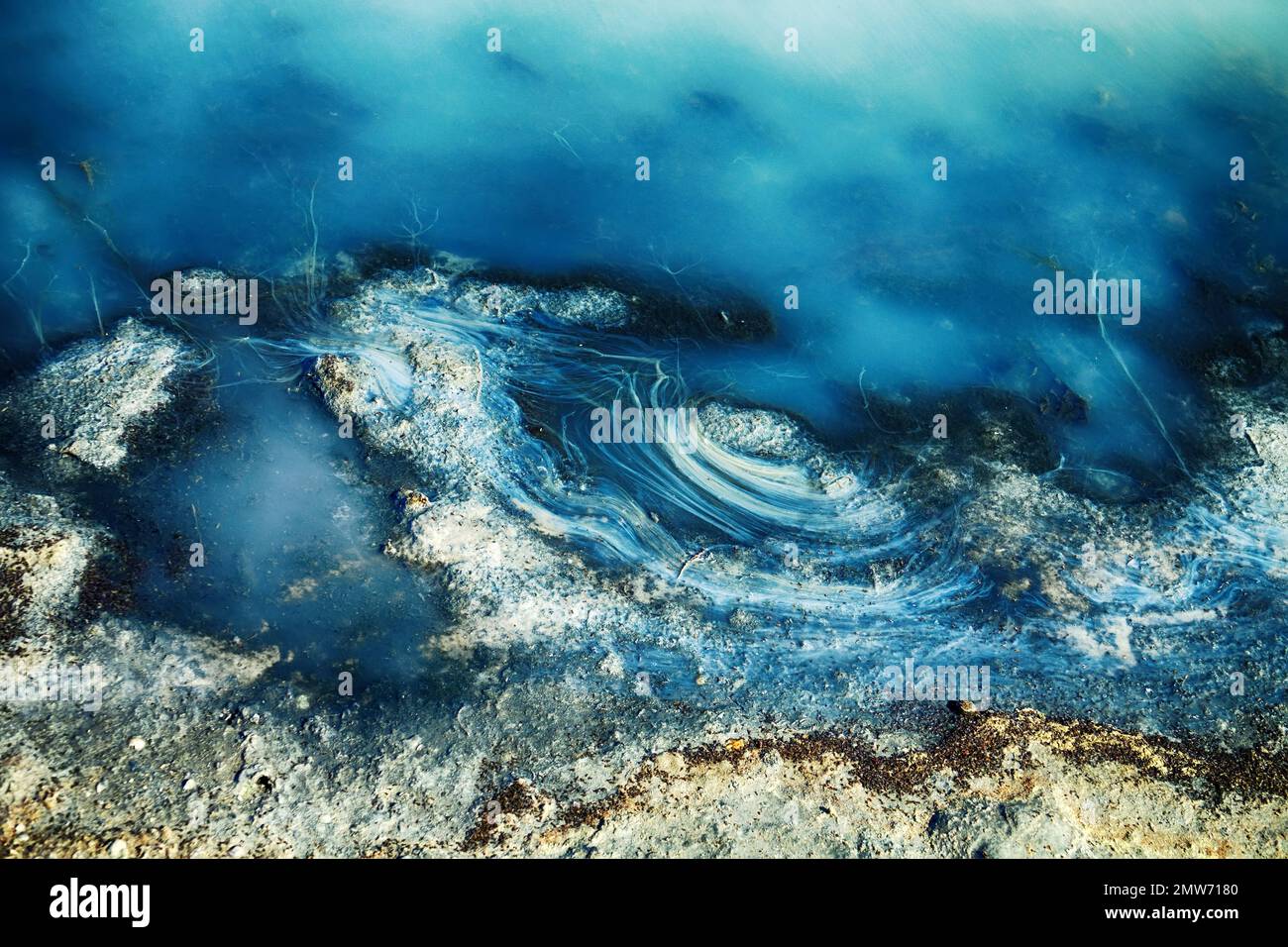 Hydrogen sulfide stagnant salt marsh. Gas turns turbid-blue in water on ...