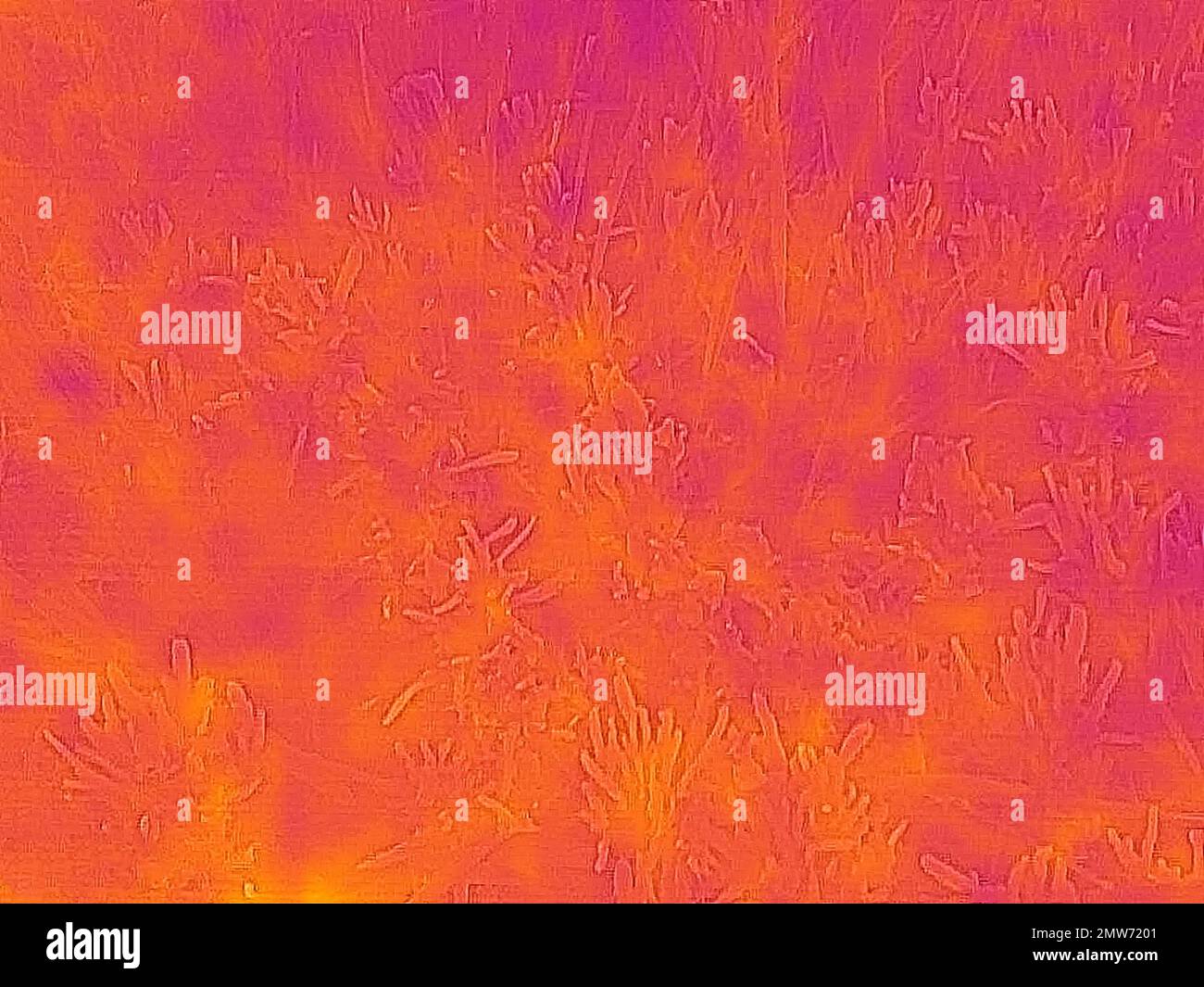 Background of plants captured on thermal imager. Plant backgrounds ...