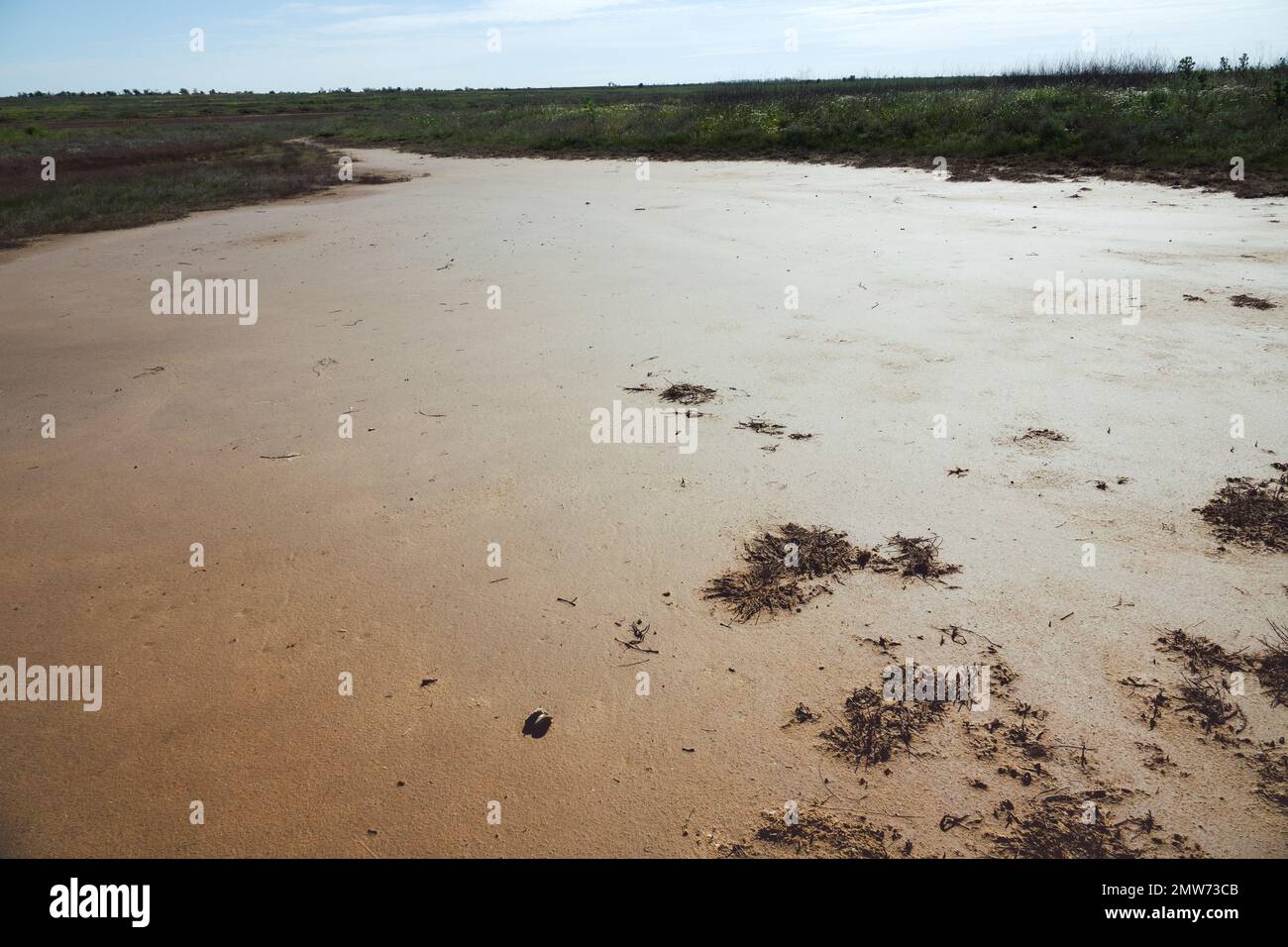 Dried Up Polluted Pond