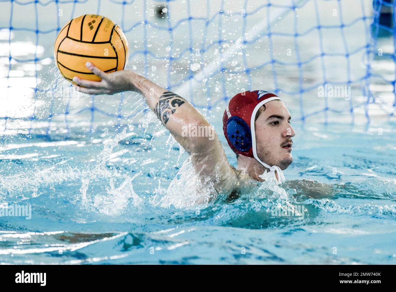 Cicali hi-res stock photography and images - Alamy