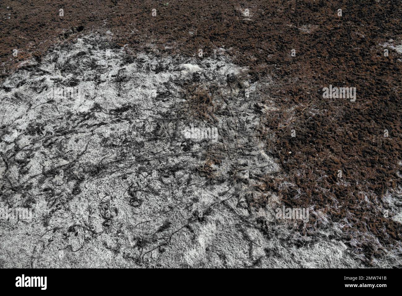 Low flow (summer steady low water level). Water disappeared from the ...