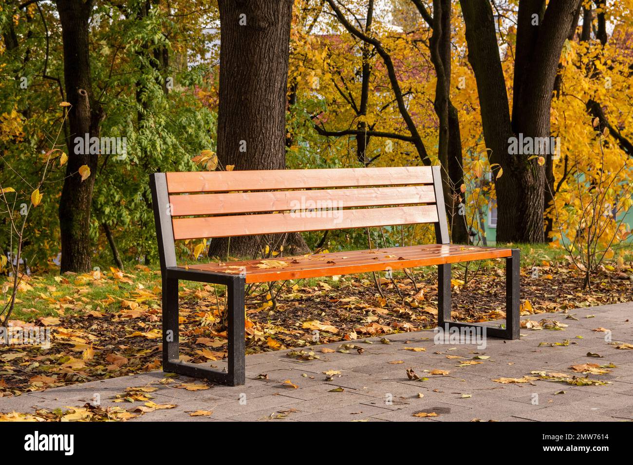 Autumn bench in a park full of falling yellow leaves Stock Photo - Alamy