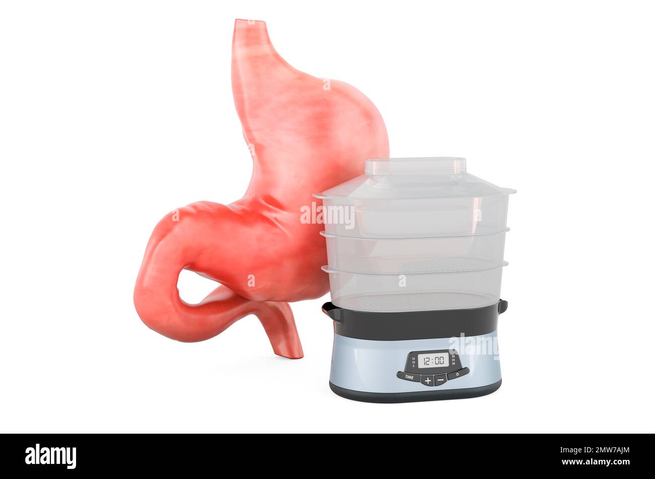 Stomach with Food steamer. Diet for a Healthy Digestive System concept ...