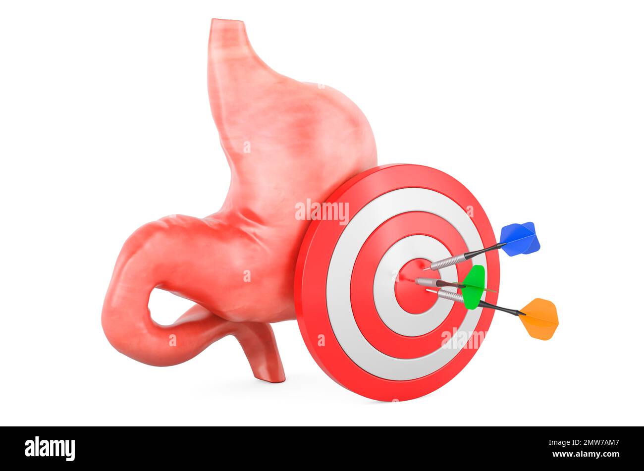 Target with arrows and stomach, 3D rendering isolated on white ...