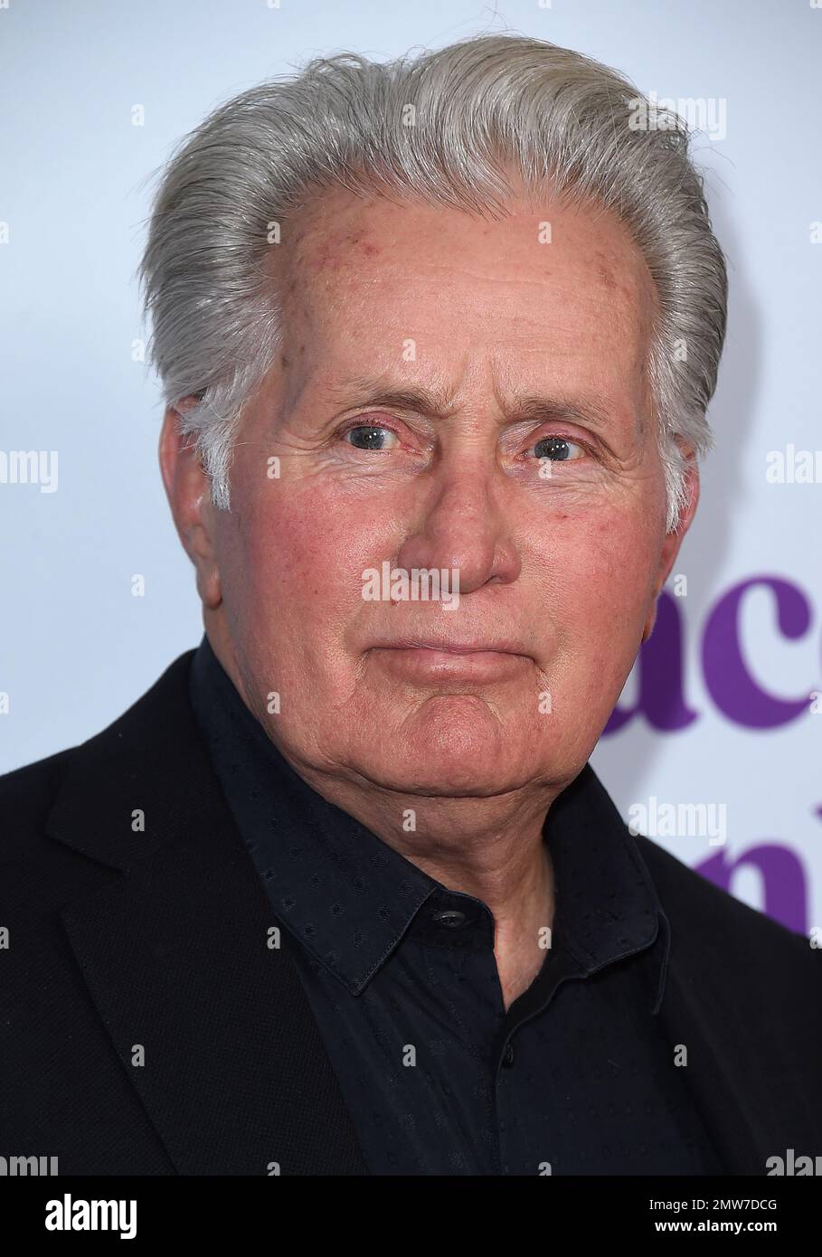 Martin Sheen arrives at the Los Angeles premiere of "Grace and Frankie ...