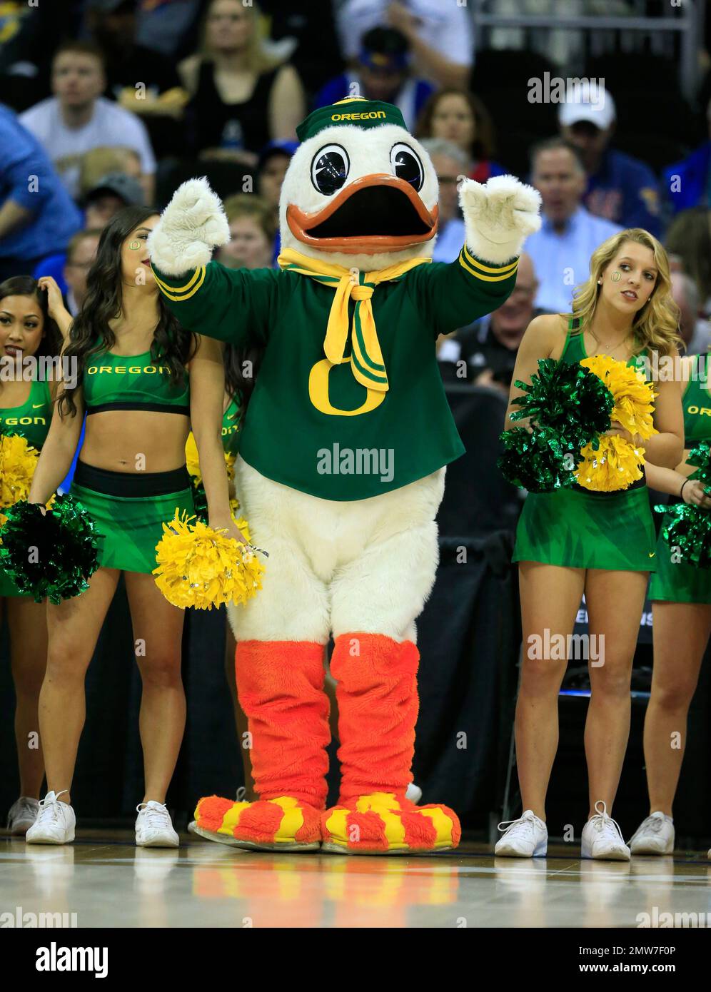 The Oregon mascot stands on the court before an NCAA college basketball ...