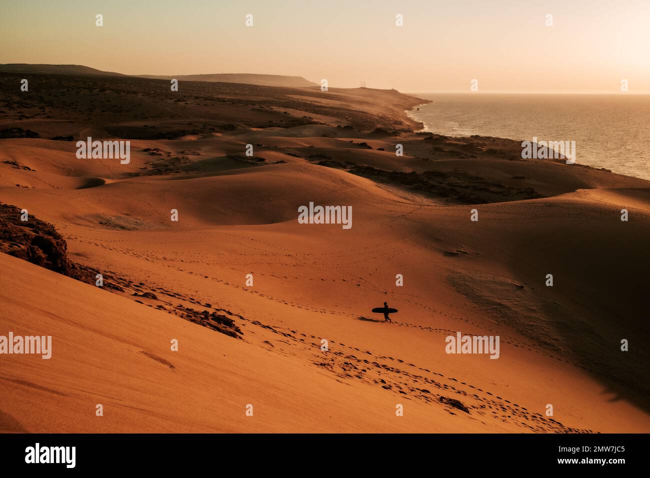 A sand boarder carries their board through an empty Sahara desert near ...