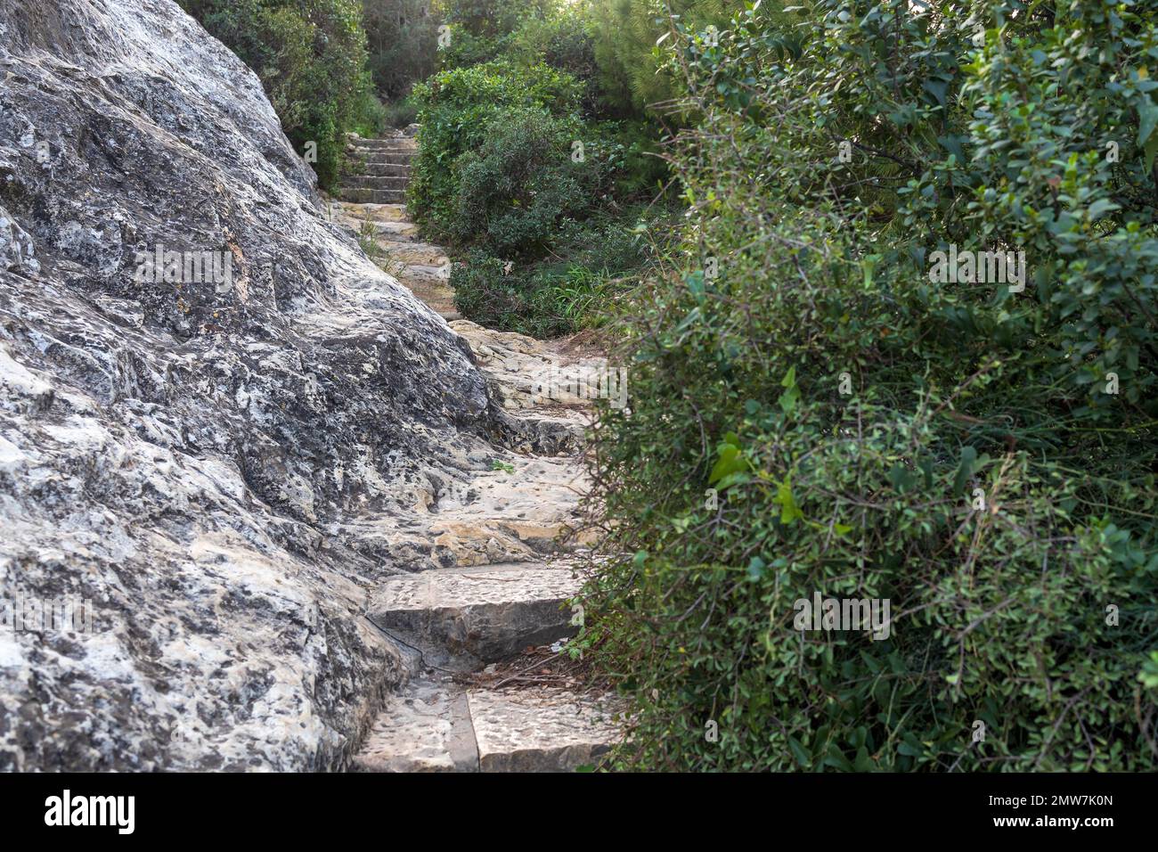Stone steps carved into the rock on Mount Carmel descend to the beach ...