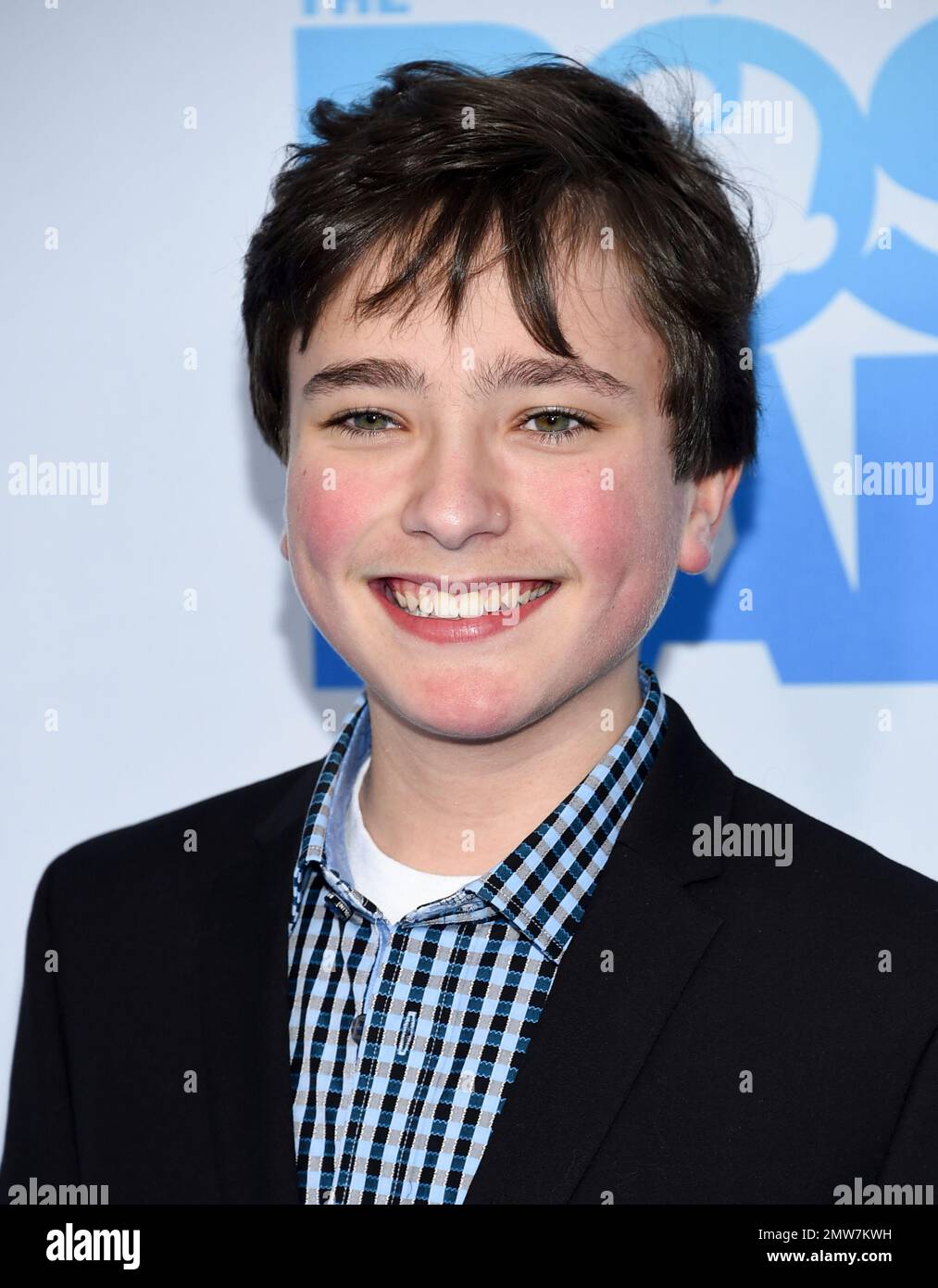 Alexander Garfin attends the premiere of "The Boss Baby" at AMC Loews ...