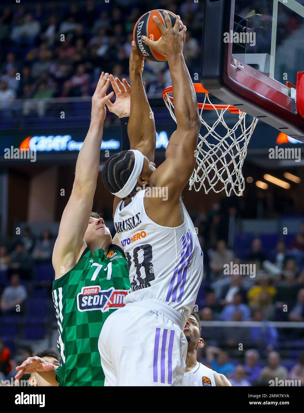 Panathinaikos basketball 2023 hi-res stock photography and images - Alamy