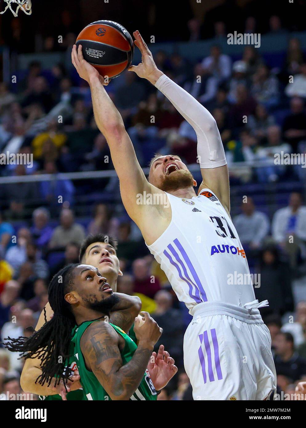 Panathinaikos baloncesto hi-res stock photography and images - Alamy