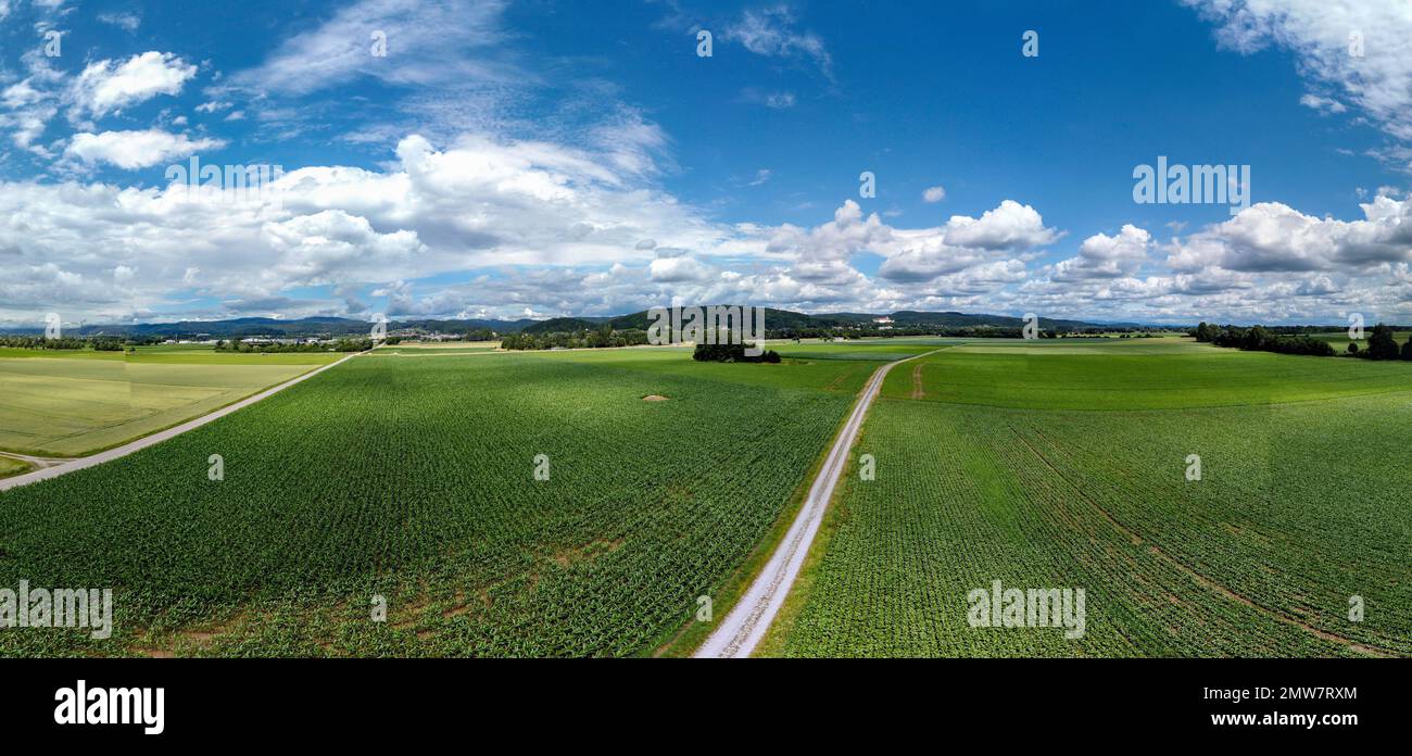 An aerial view of green agricultural fields on a sunny day Stock Photo ...