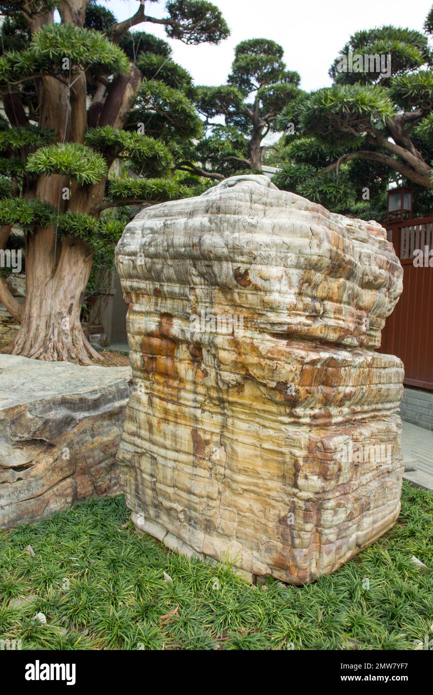 Amazing Taihu stone in Nan Lian Park фытв Ophiopogon japonicus as grass ...