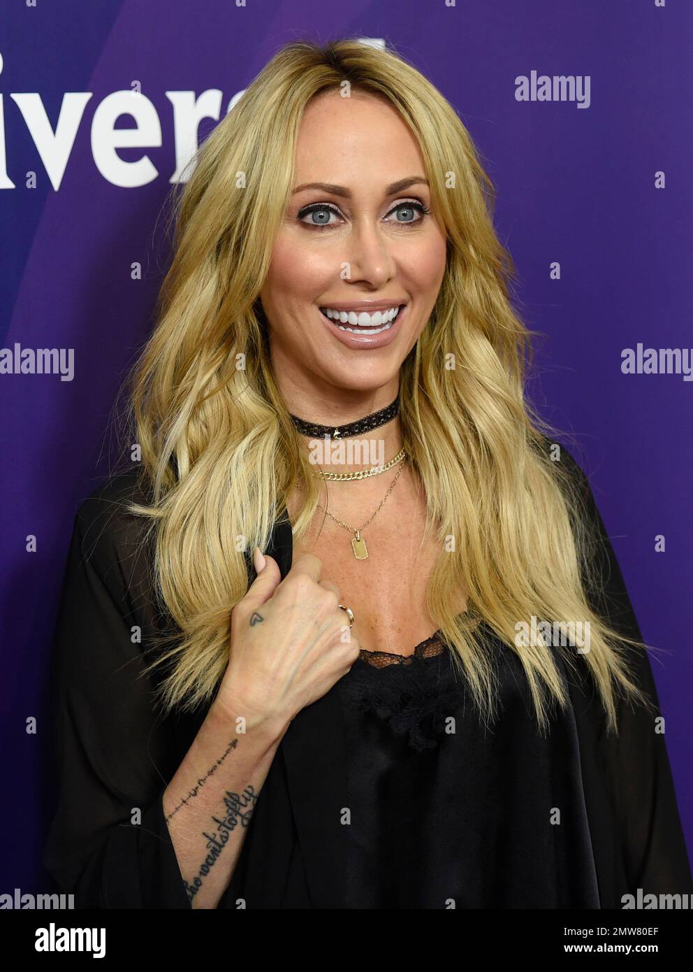 Tish Cyrus, a cast member in the Bravo series "Cyrus vs. Cyrus: Design ...