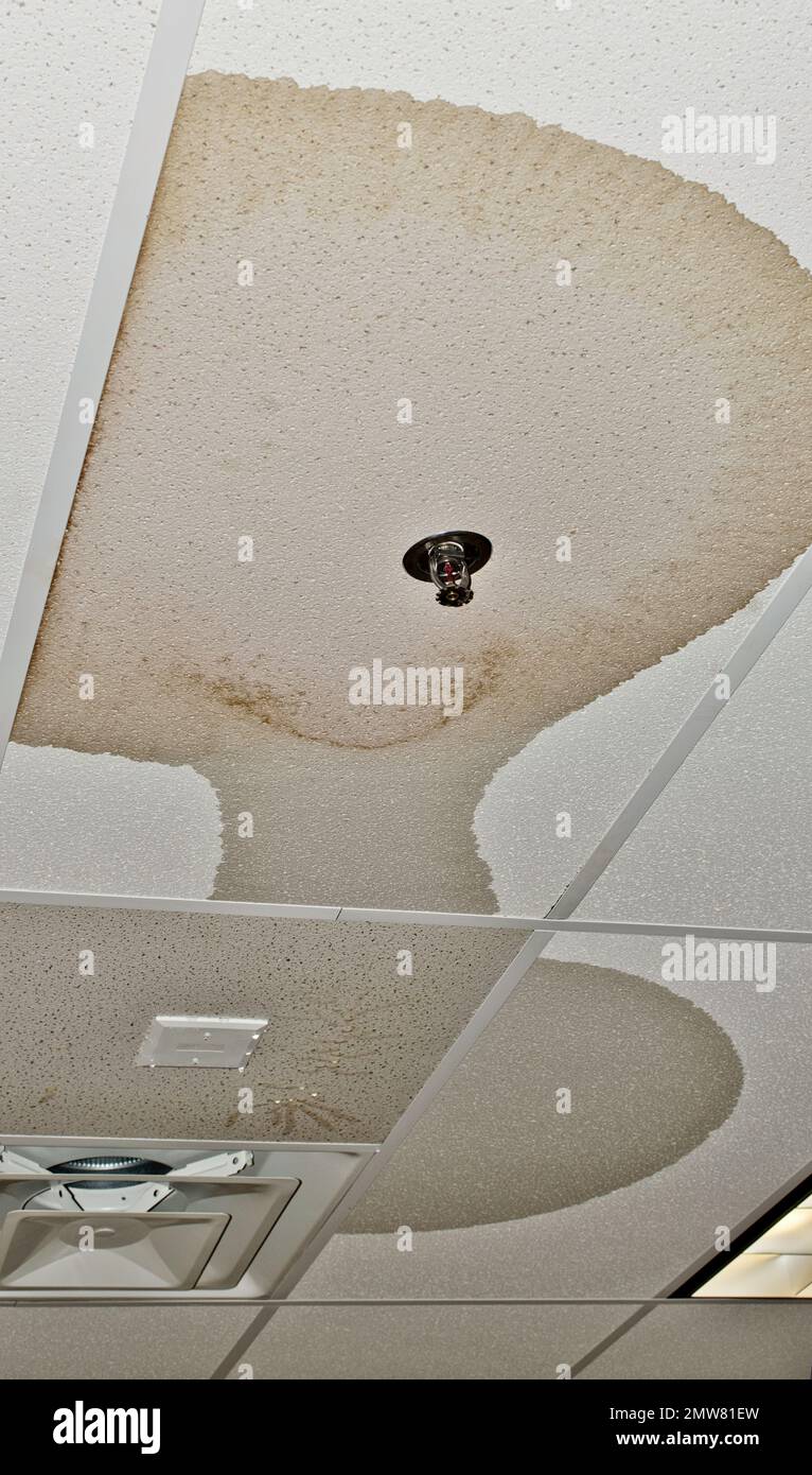 Ceiling damage from a water pipe leak in an interior ceiling from a ...