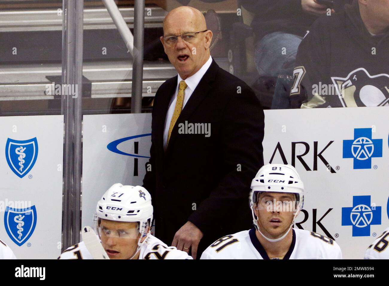 Florida Panthers interim head coach and general manager Tom Rowe stands ...