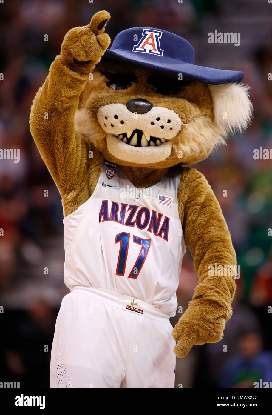 Arizona mascot "Wilbur" performs during the second half of a second ...