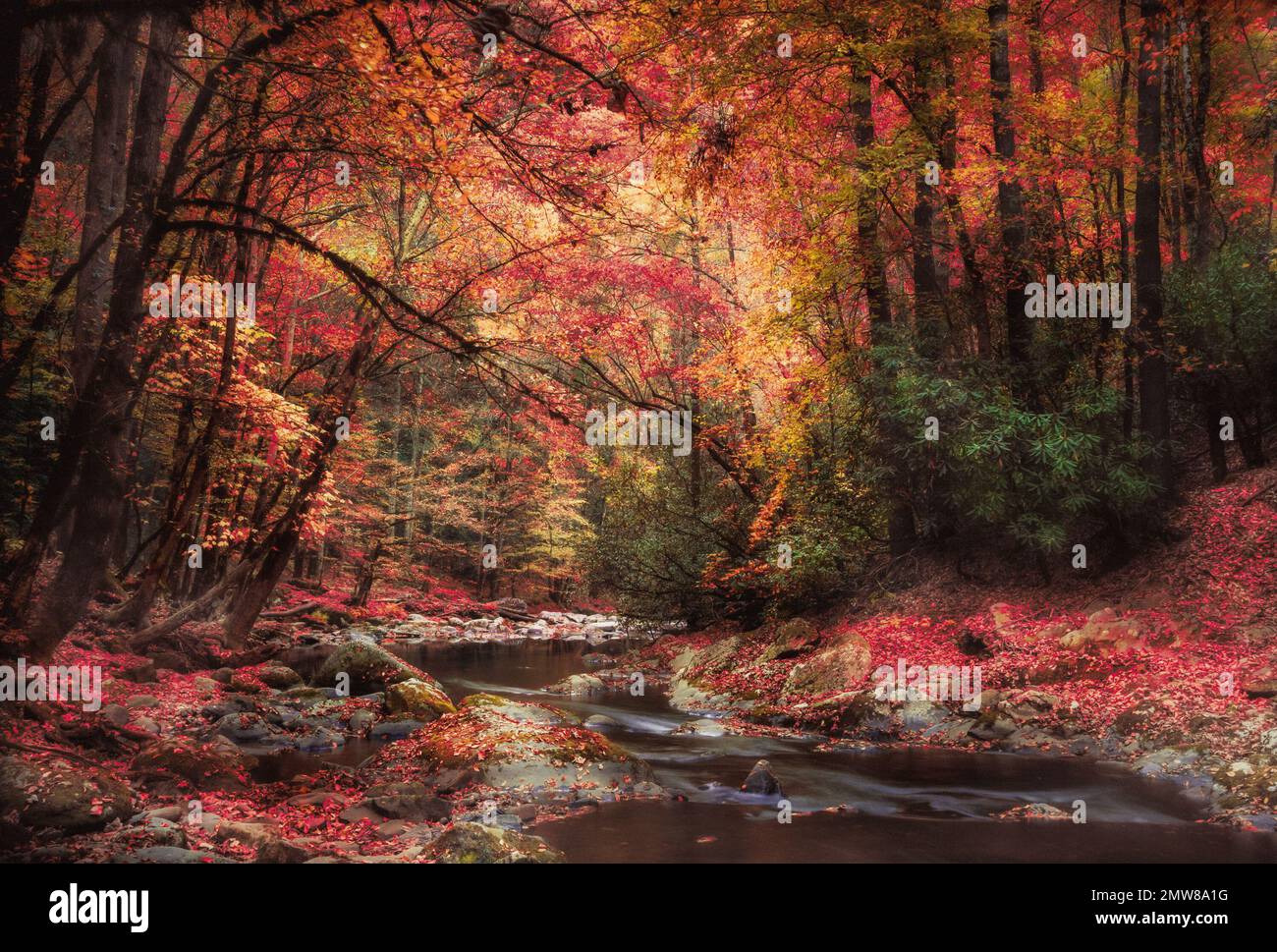 Scenic autumn view from Smoky Mountain National Park with colorful fall ...