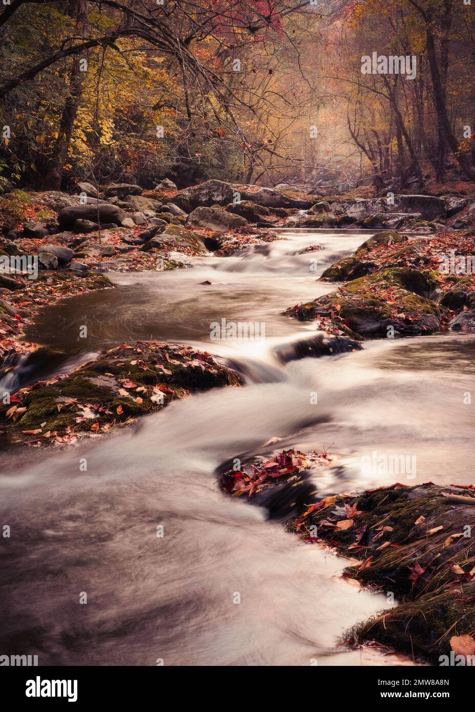 Scenic autumn view from Smoky Mountain National Park with colorful fall ...